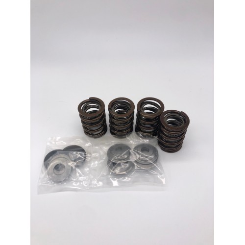 Dual Valve springs ti